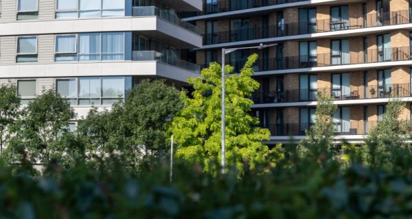 Beneficios de los espacios verdes en tu depa | Blog Edifica